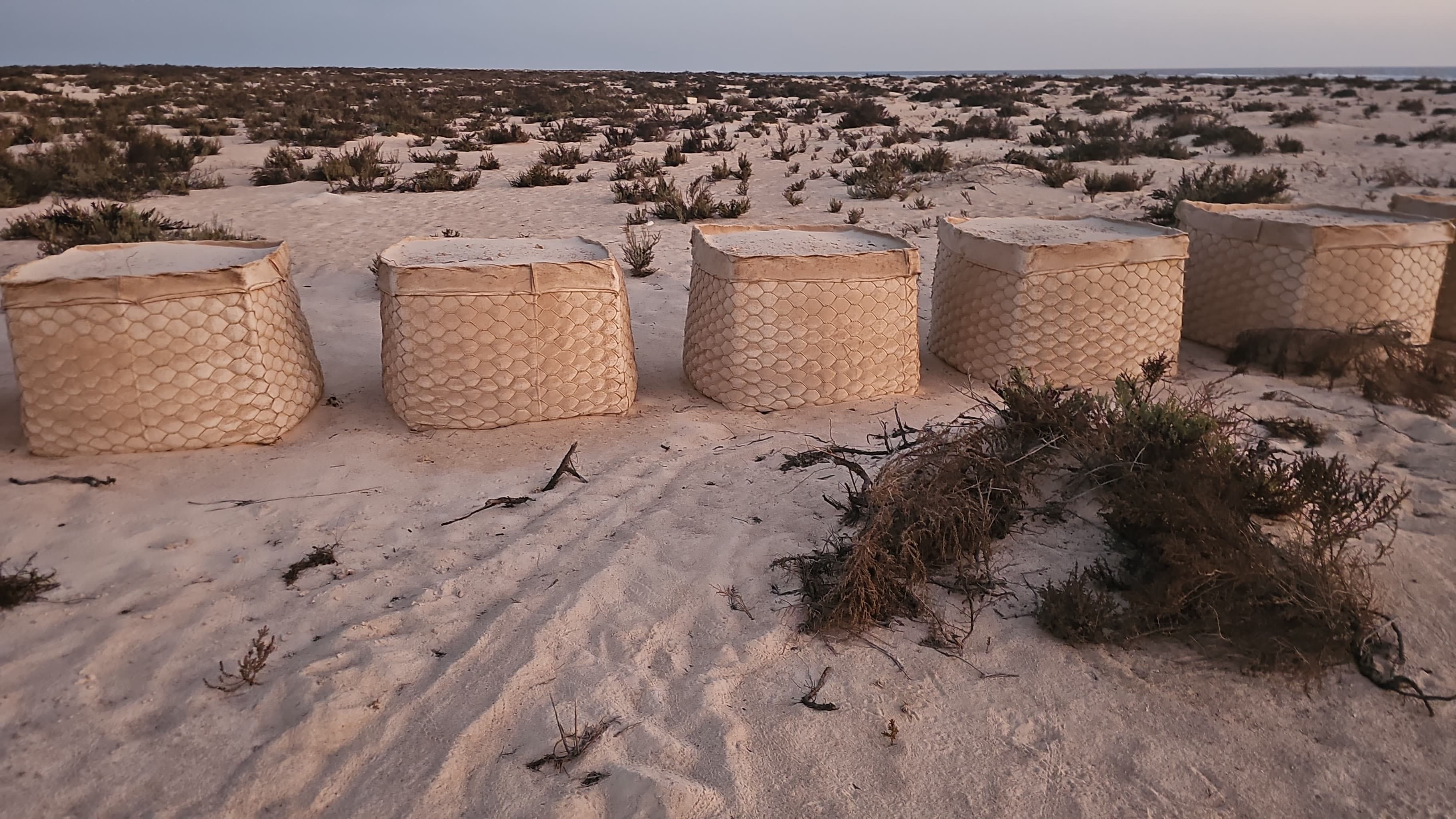 Breem Island: A Haven for Nesting Turtles