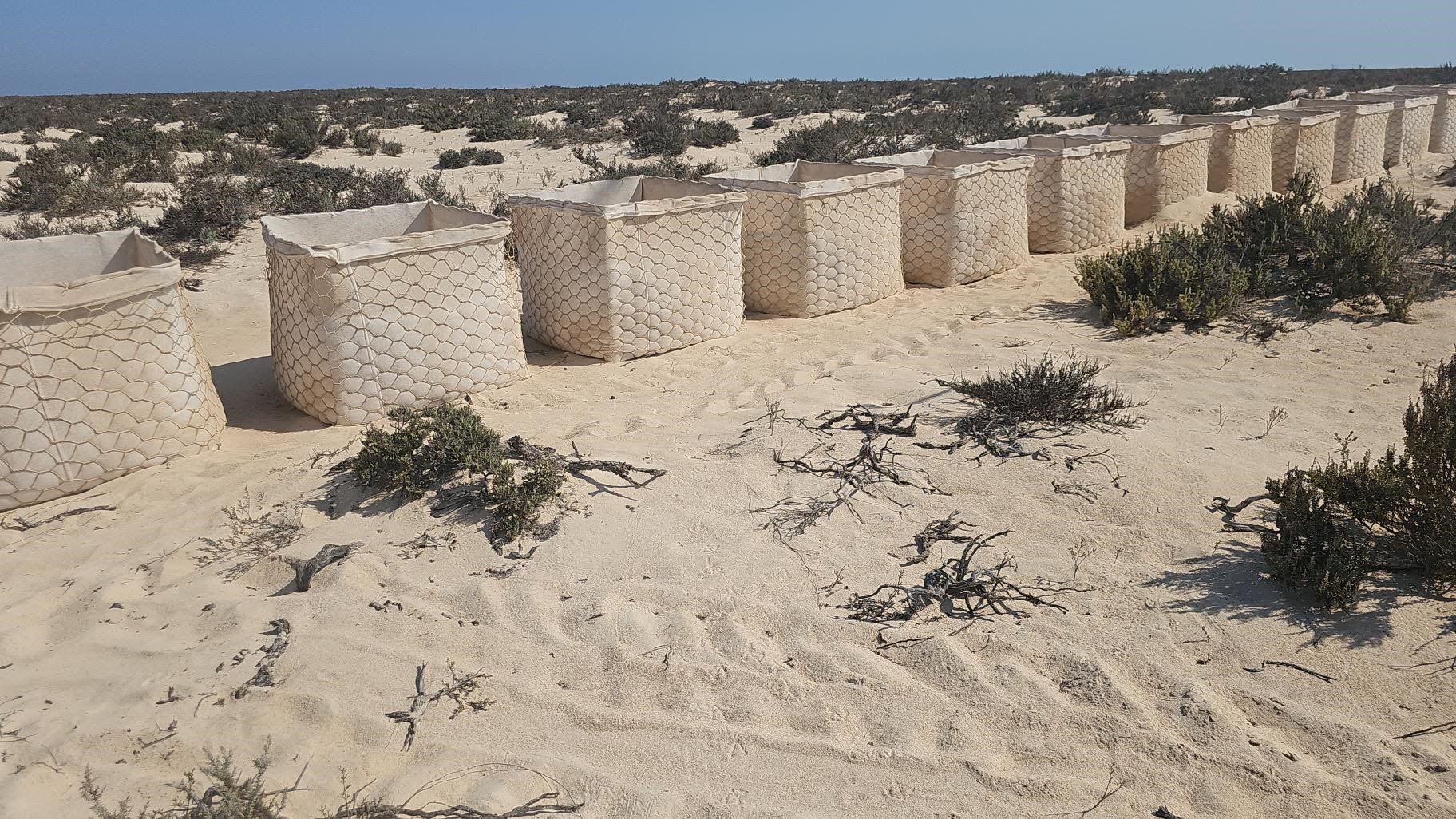 Breem Island: A Haven for Nesting Turtles