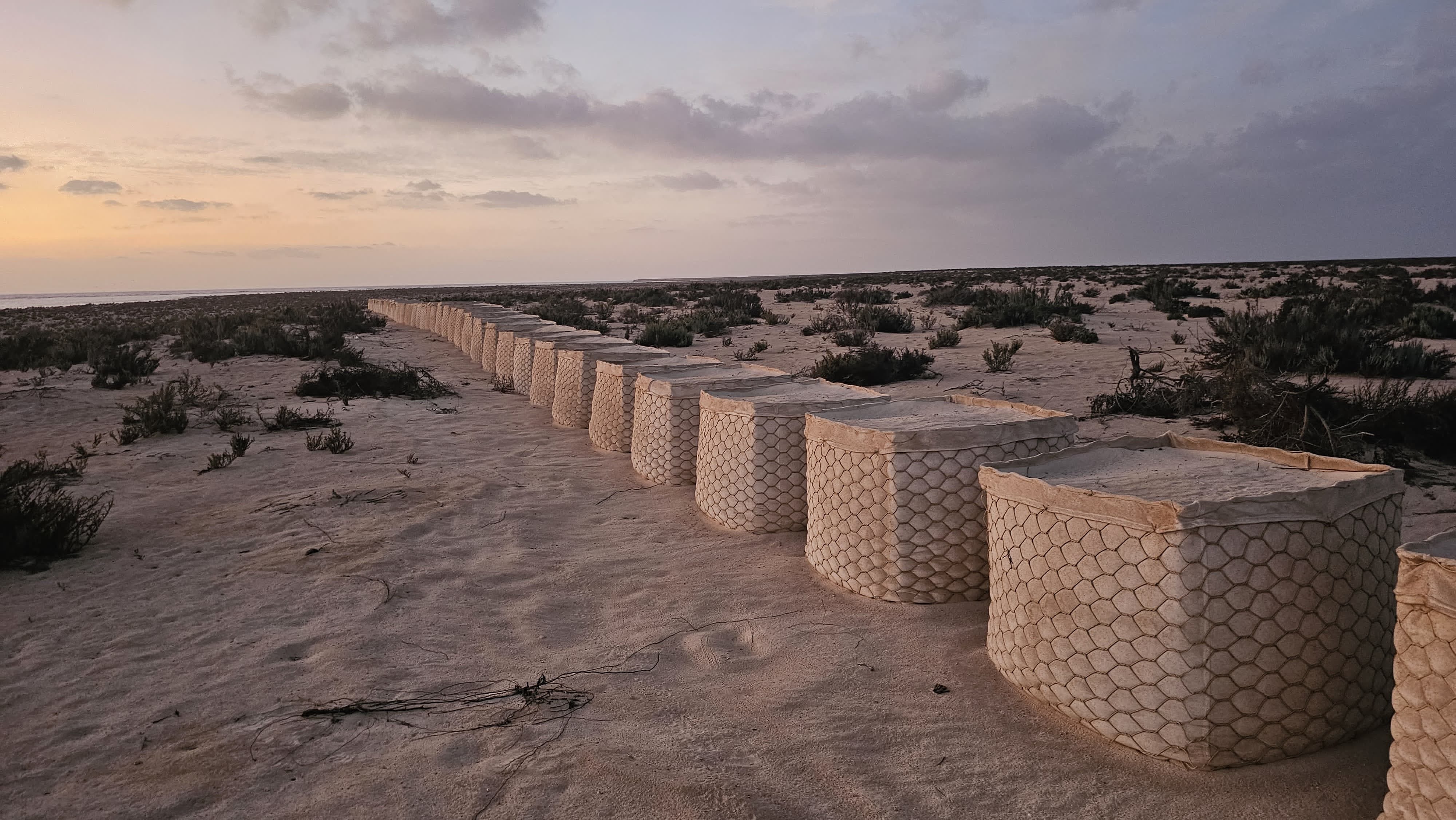 Breem Island: A Haven for Nesting Turtles